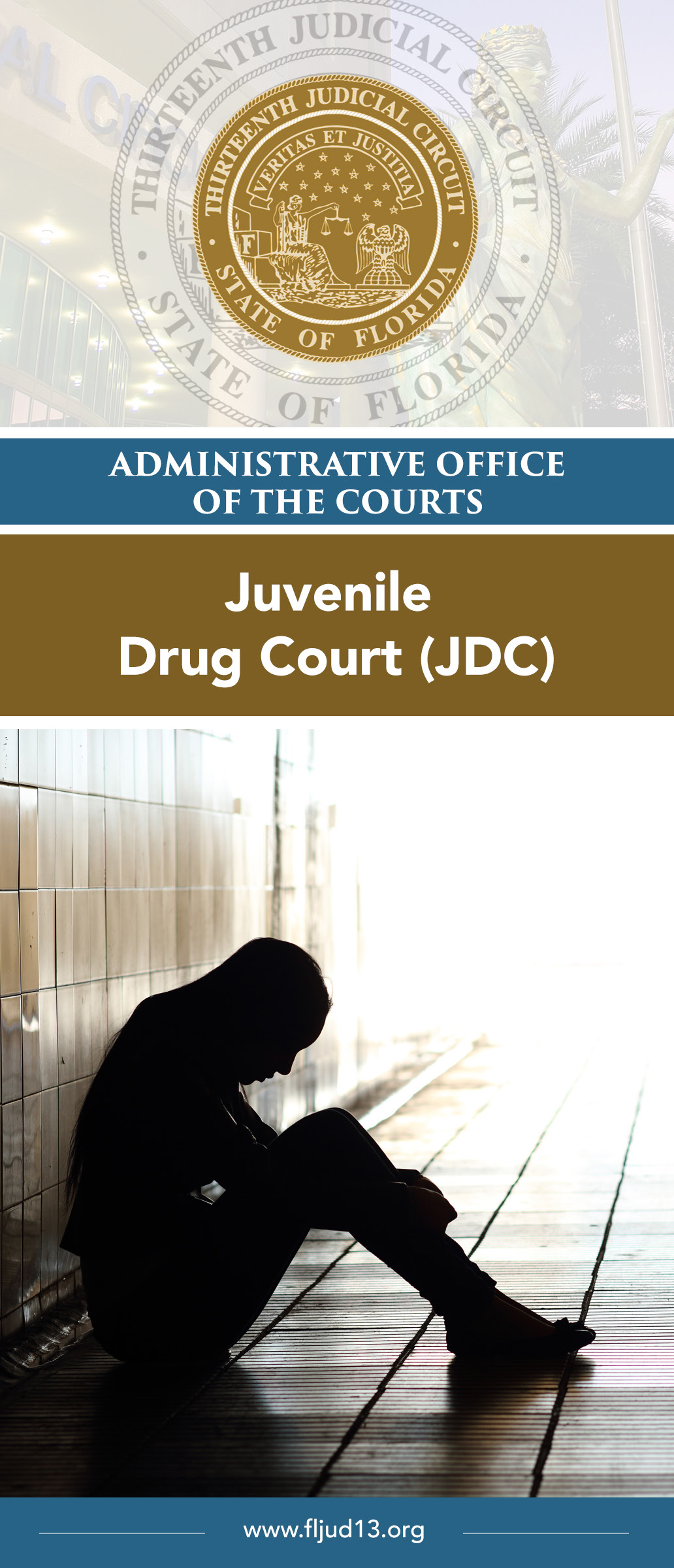 Thirteenth Judicial Circuit Administrative Office of the Courts > Court ...